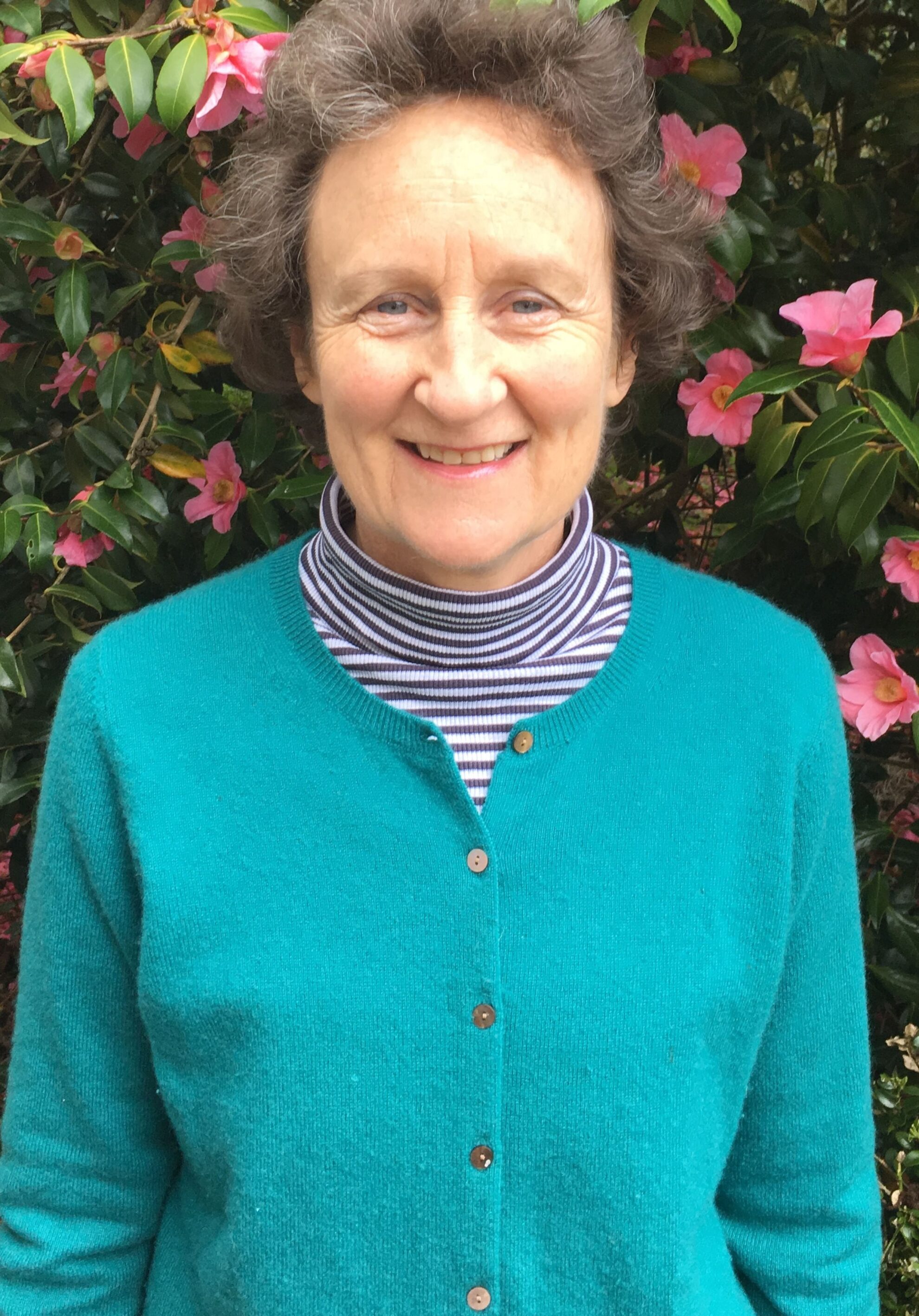 Deputy Lieutenants - Down Lieutenancy